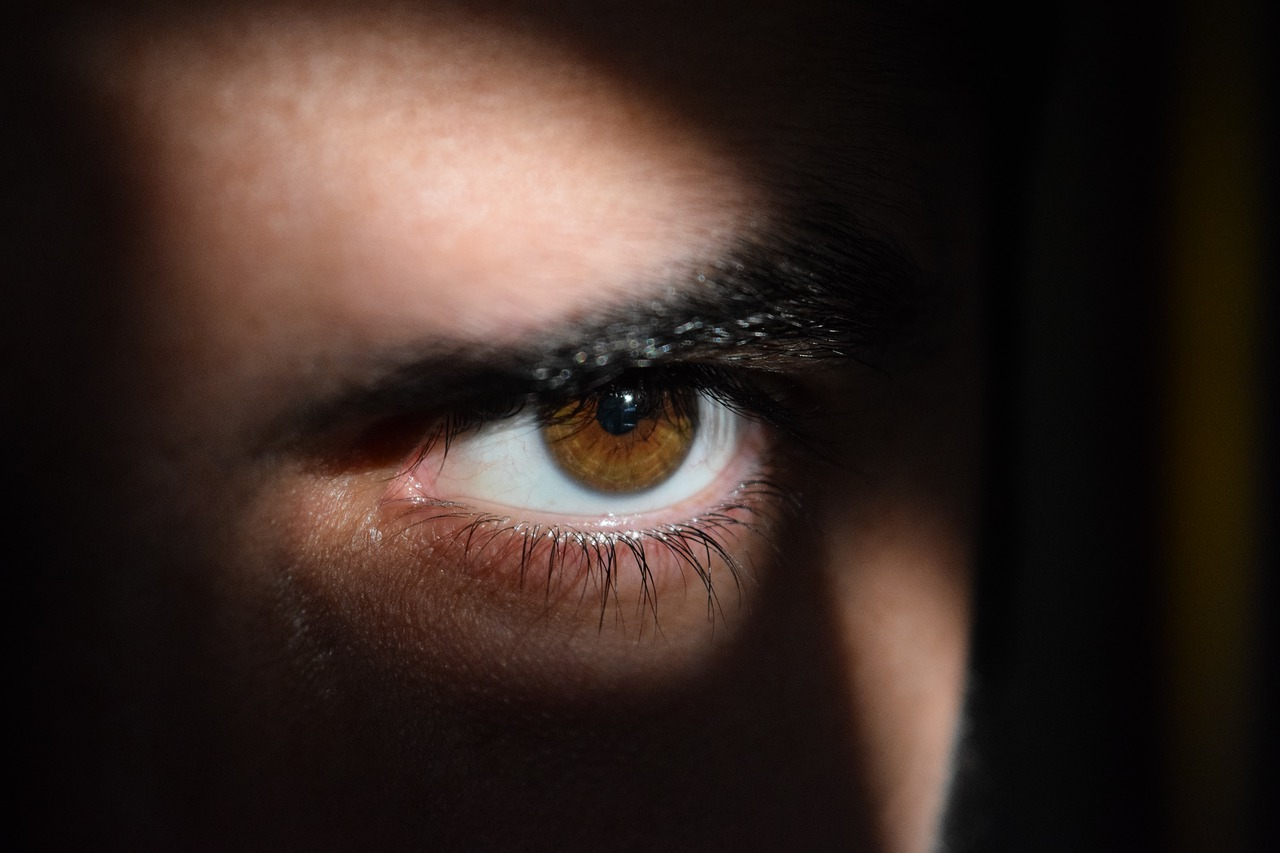 5 Tipi di Stalker nella Classificazione di Mullen | Igor Vitale